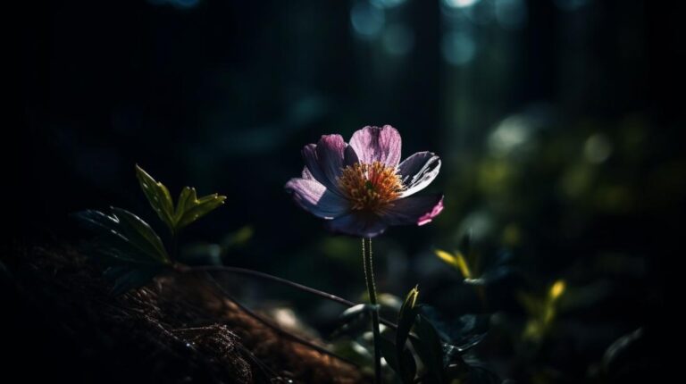 Finding Hope Amidst Adversity: A Guide - Your news and entertainment ... Finding Hope Amidst Adversity: A Guide - Your news and entertainment ...